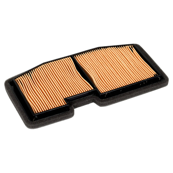 Triumph Air Filter T2200987 | Laguna Direct